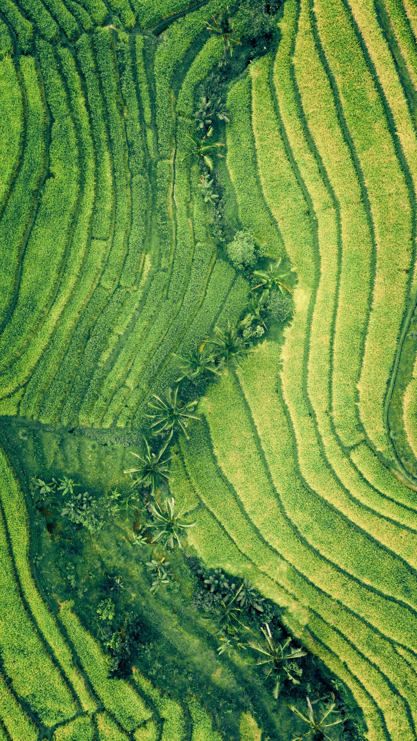 Onward Travel and Visa Requirements- Southeast Asia 2025 - World Within ...